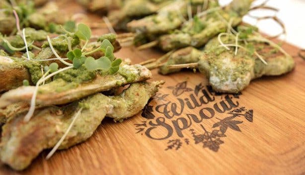 WildSprout, A Health and Environmentally Conscious Eatery