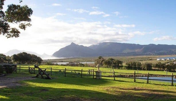 2017 The Imhoff Crush Food and Wine Market at Imhoff Farm in Kommetjie
