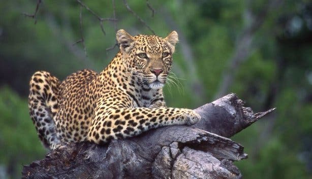 Bruce Little Gallery Launching with Touch Africa Exhibition