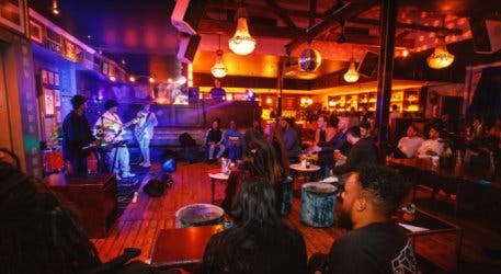 Your guide to Thursdays at Harrington Street